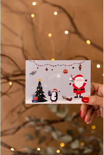 Coleção Mimo – mimogaleria